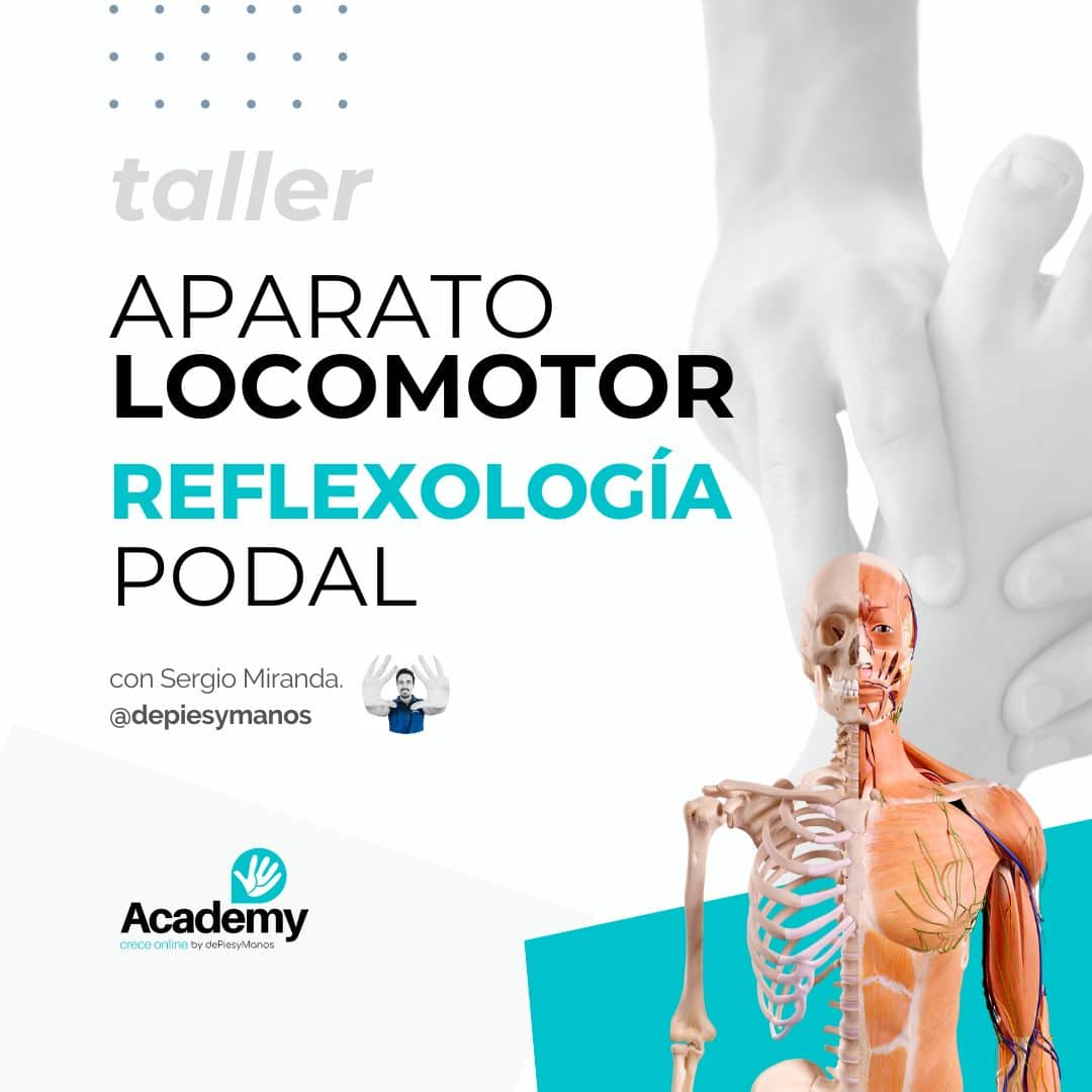 Curso de REFLEXOLOGÍA PODAL Aplicada al Masaje